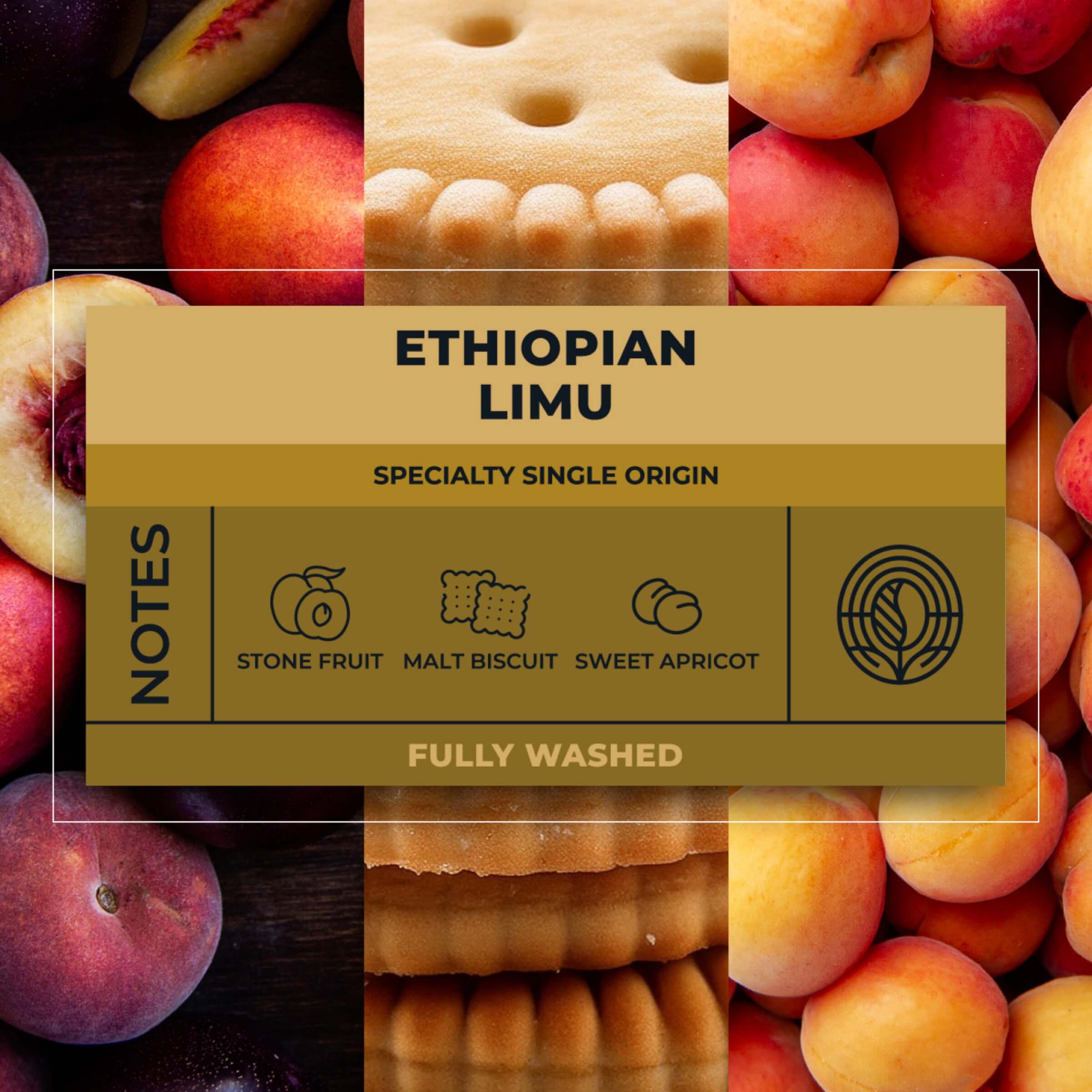 ETHIOPIAN LIMU COFFEE