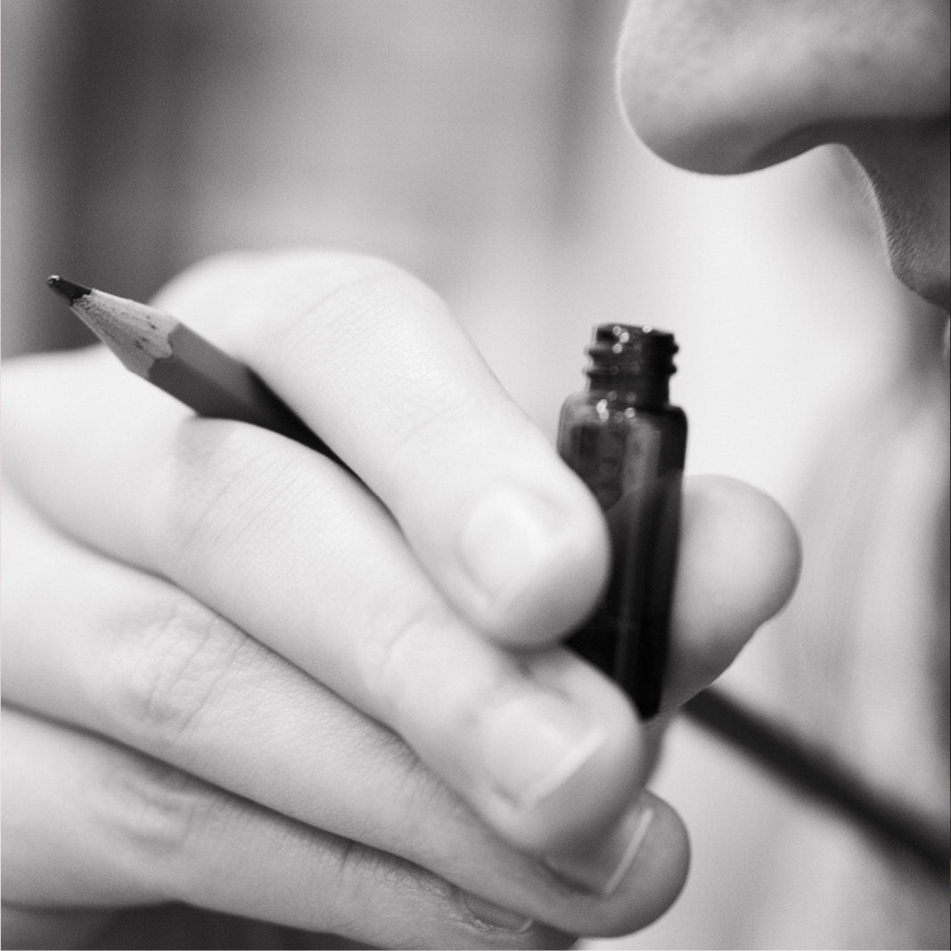 SCA CSP SENSORY SKILLS - FOUNDATION